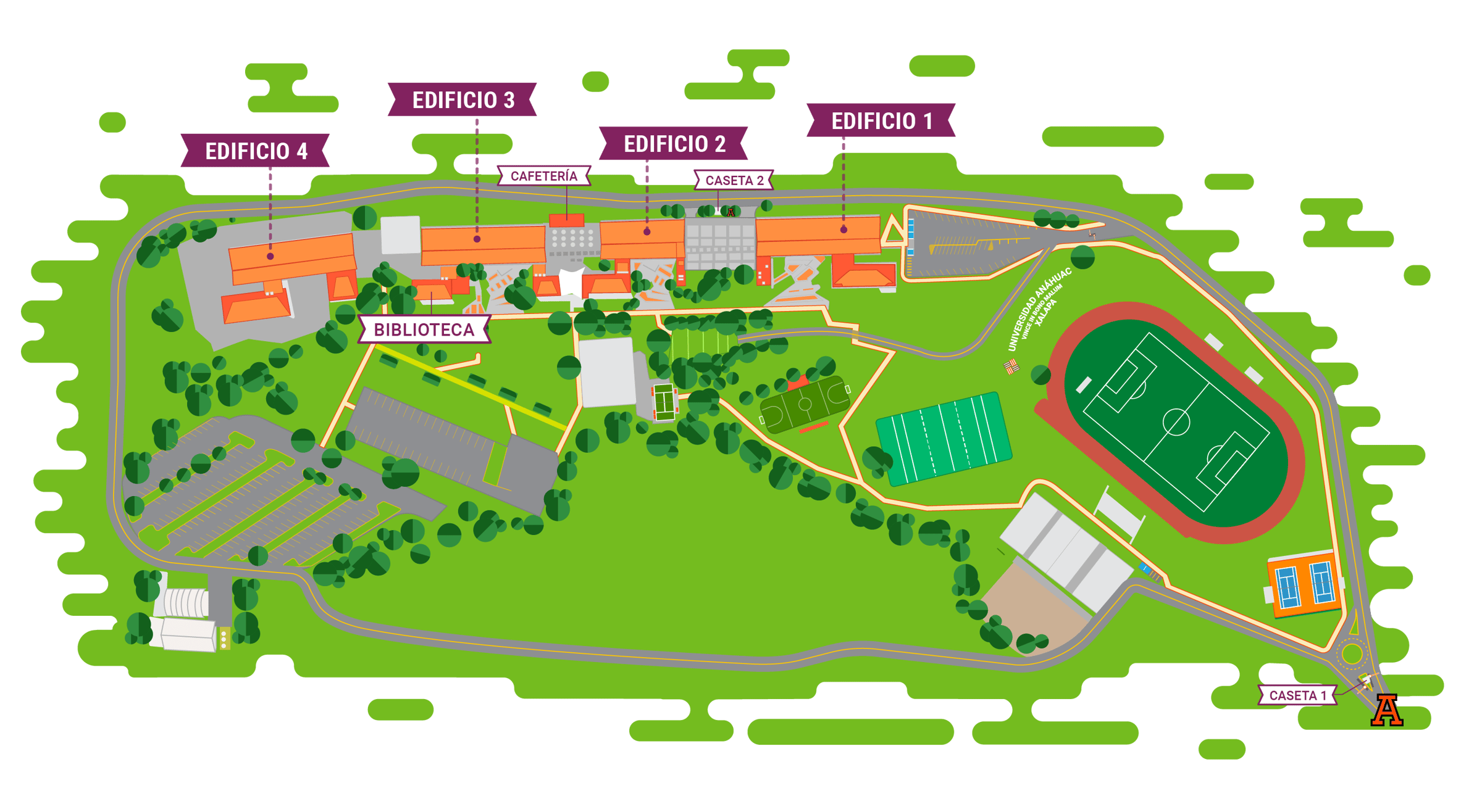 Información Importante - Anáhuac Veracruz Campus Xalapa