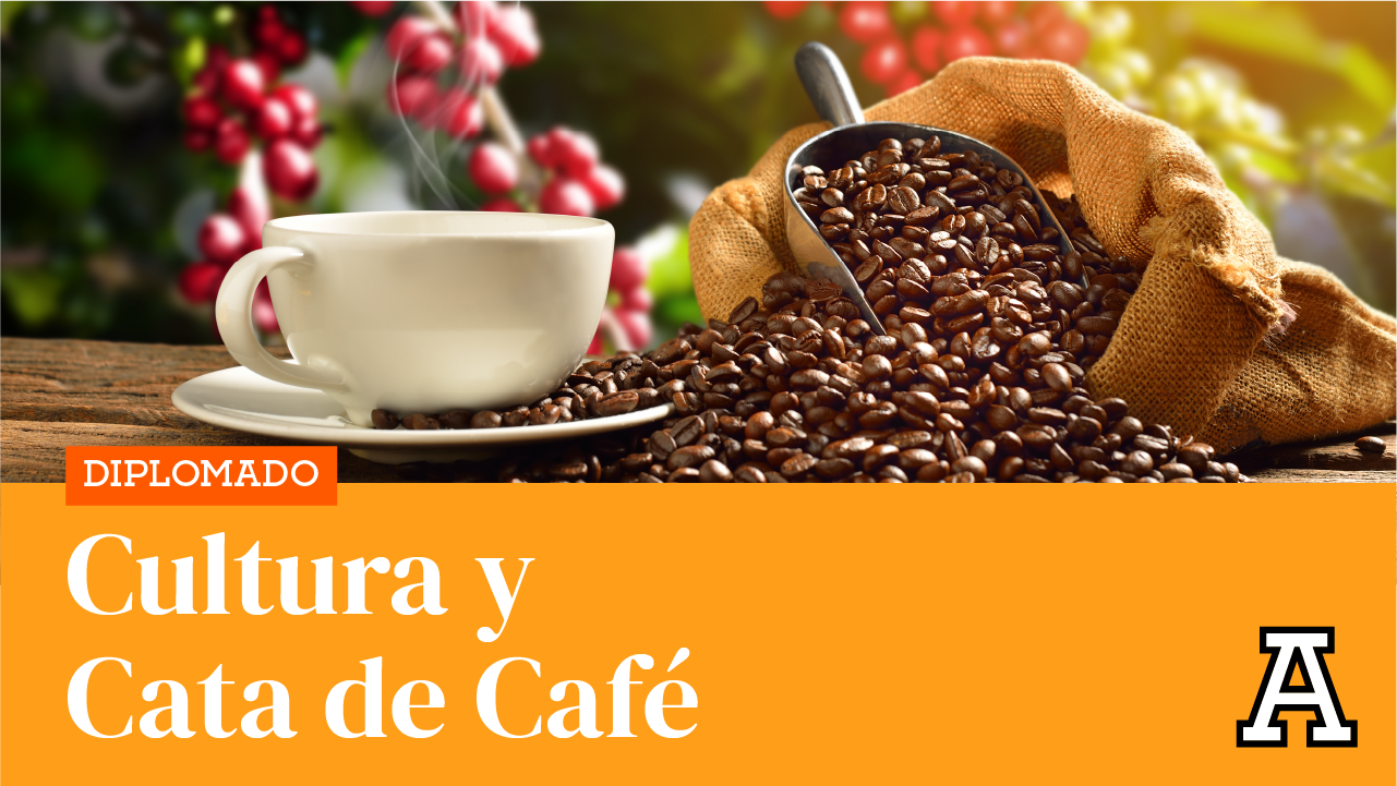 Curso en Cultura y Cata de Café | Anáhuac Veracruz